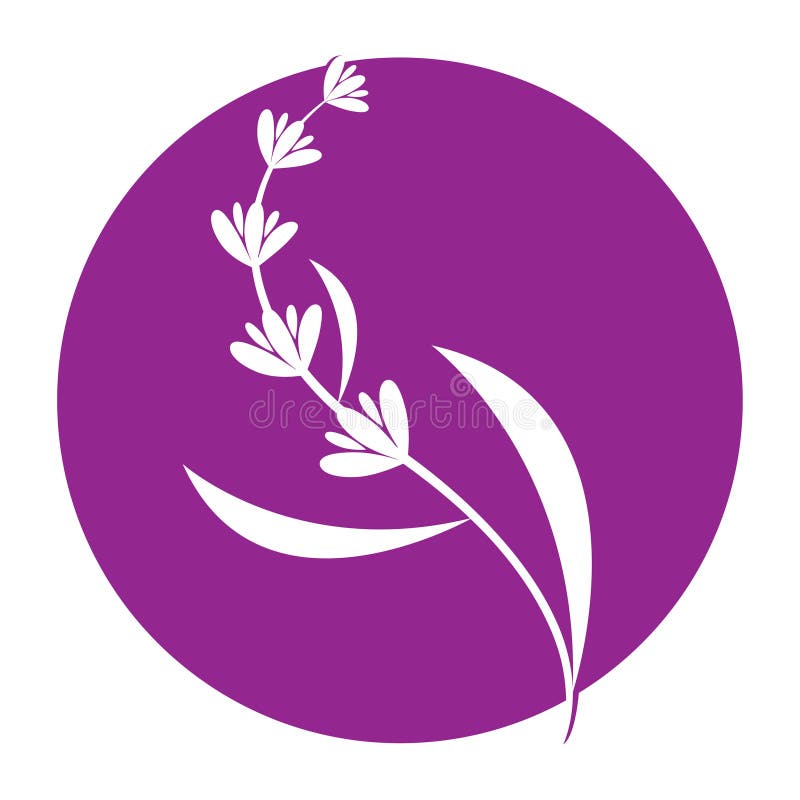 Fresh Lavender flower logo stock illustration. Illustration of provence ...