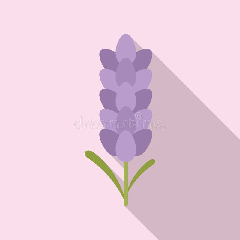 Botany Lavender Icon, Flat Style Stock Vector - Illustration of fashion ...