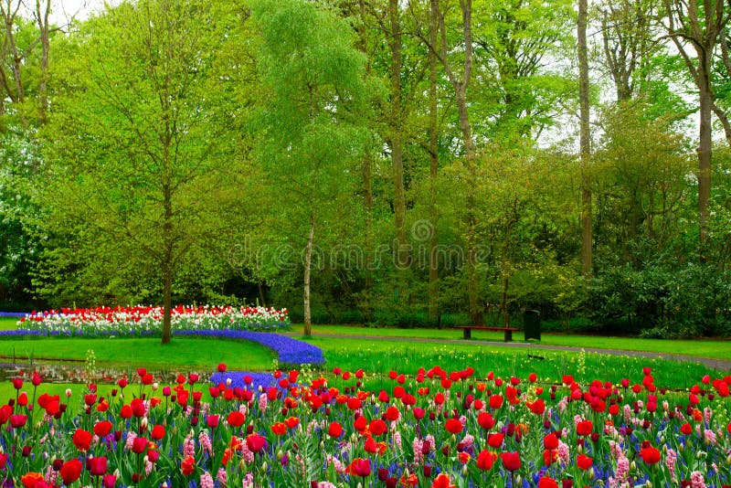 Fresh lawn with flowers stock photo. Image of colour - 205322568