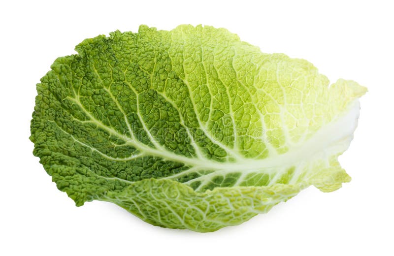 Fresh Leaf of Savoy Cabbage Isolated on White Stock Photo - Image of ...