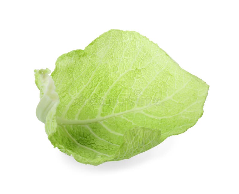 Fresh Leaf of Savoy Cabbage Isolated on White Stock Photo - Image of ...