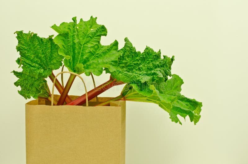Fresh leafy rhubarb stock photo. Image of vitamins, food - 24547048