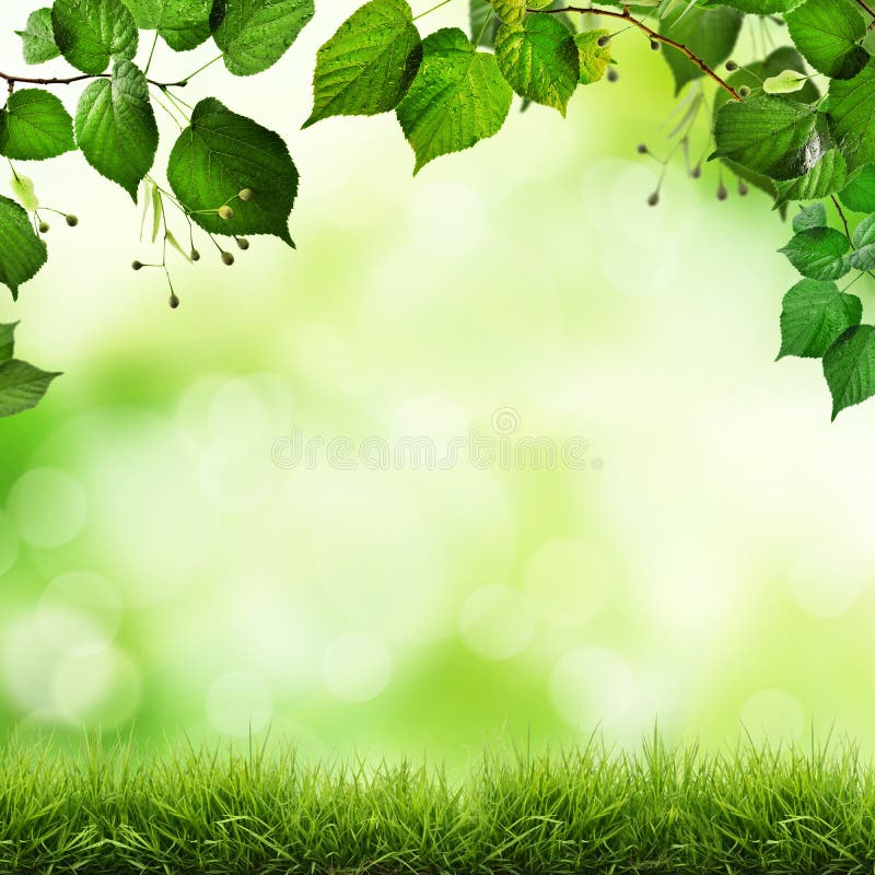 Nature header and footer stock photo. Image of footer - 21354020