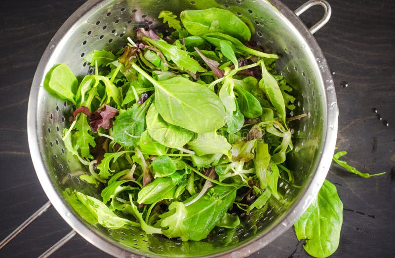 Fresh Leaves of Various Types of Salad in a Colander Stock Image ...