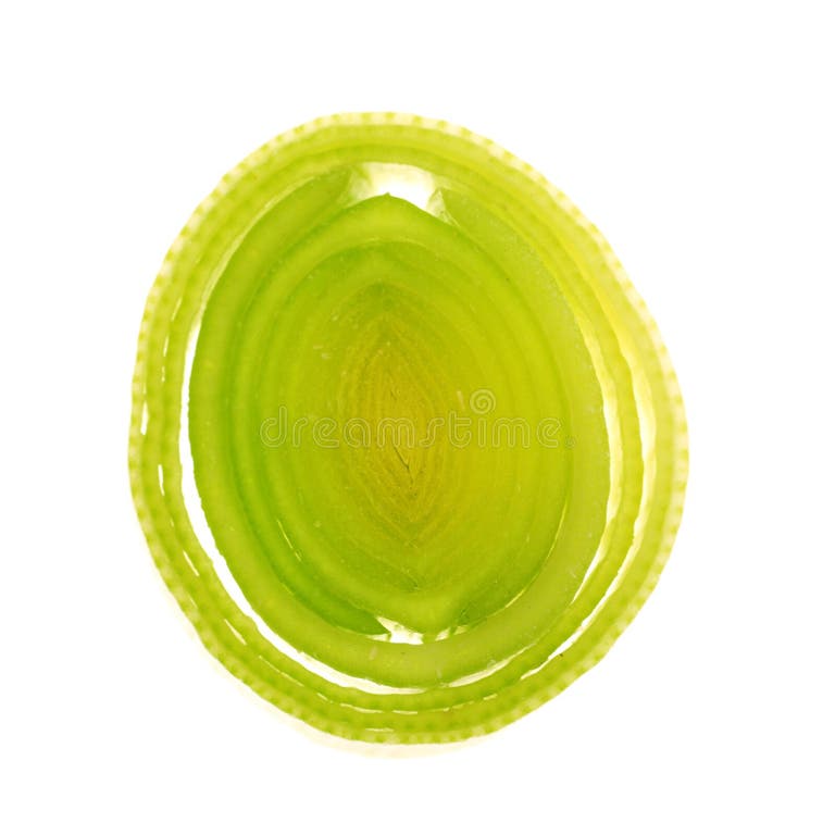 Fresh leek stock photo. Image of stem, frame, cross, stalk - 14596340