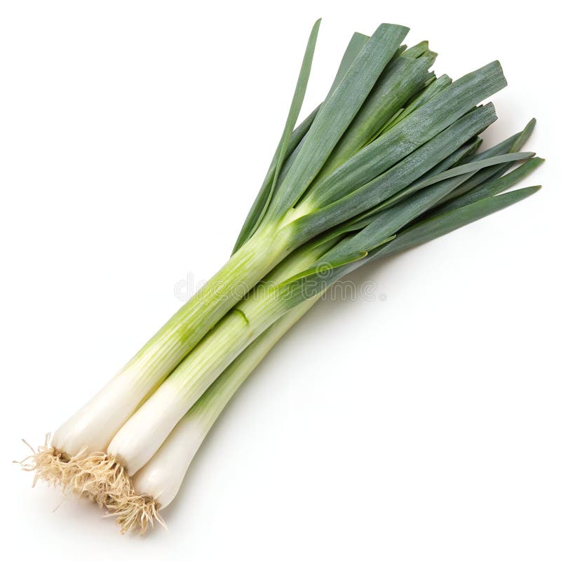 Fresh Leek Vegetable Isolated on White Background Stock Illustration ...