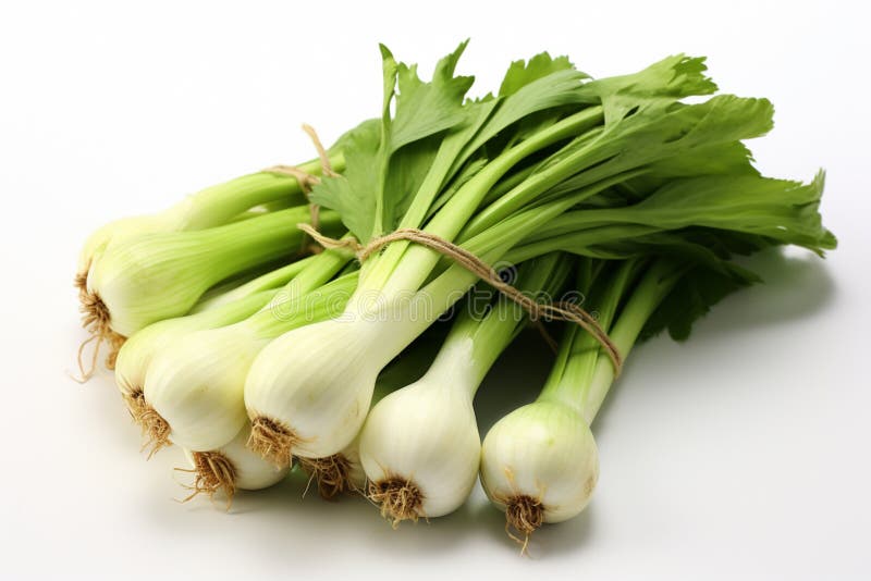 Fresh Leek on White Background Stock Illustration - Illustration of ...