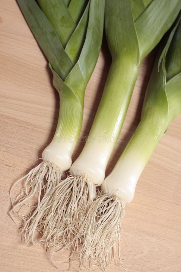 Fresh leeks stock image. Image of fresh, plant, leaf - 10517707