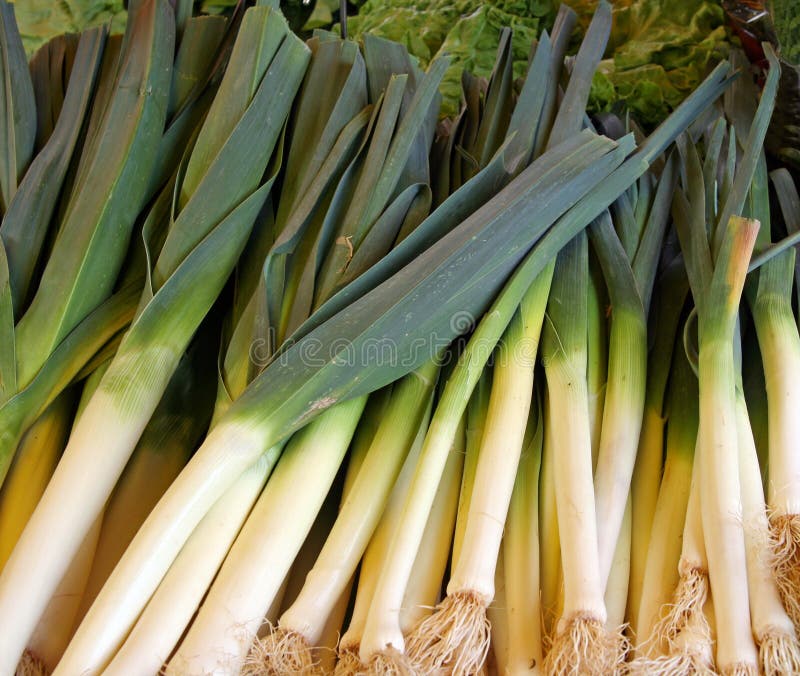 Fresh leeks stock image. Image of tendrils, vegetable - 5278013
