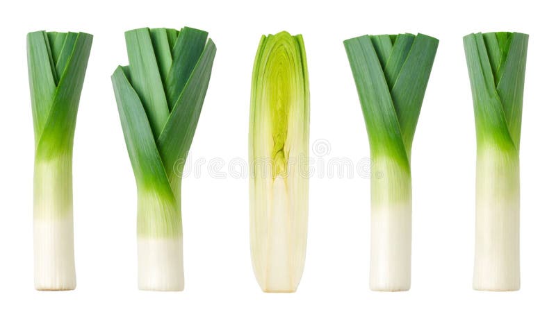 Fresh Leeks Showing Leaves, Whole, Half and Cross Section on ...