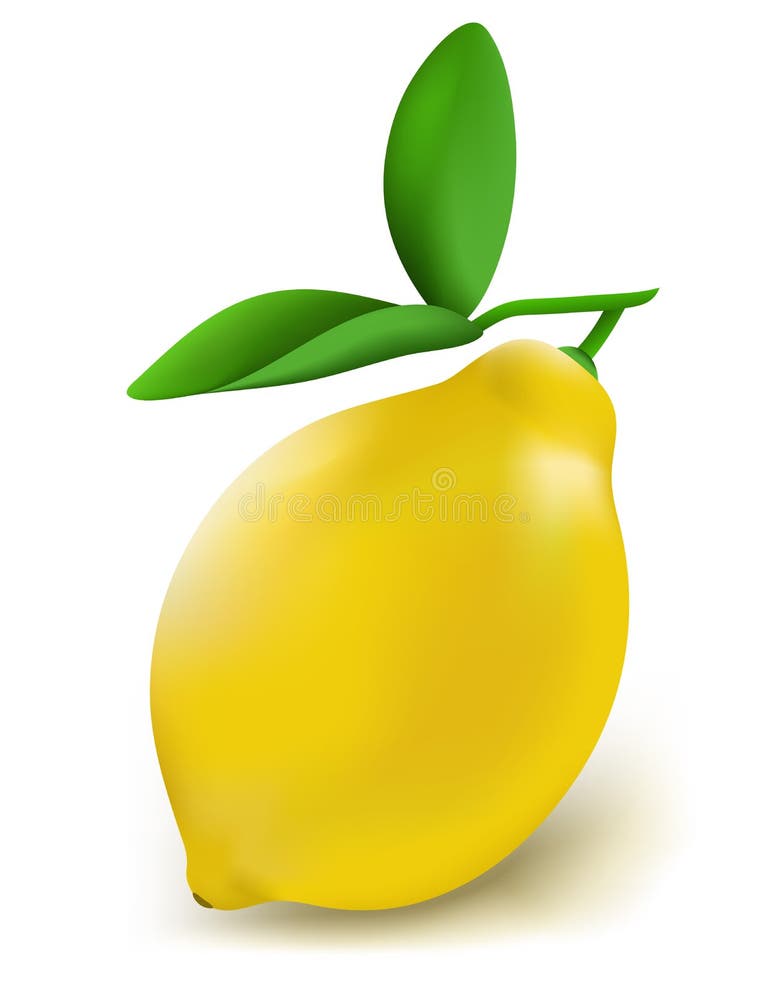 Lemon Version Stock Illustrations – 271 Lemon Version Stock ...