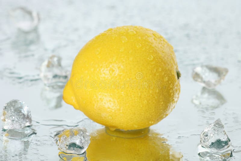 Fresh lemon stock image. Image of citrus, macro, rain - 9108829