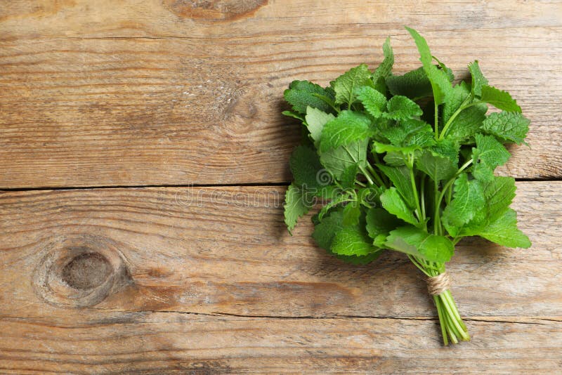 Fresh Lemon Balm on Wooden Table, Top View. Space for Text Stock Image ...