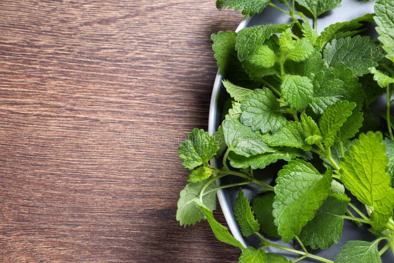 Fresh Lemon Balm on Wooden Table, Top View. Space for Text Stock Photo ...