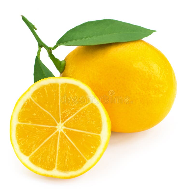 A Lemon Citrus Tree - Nearly Ripe Stock Photo - Image of industrial ...