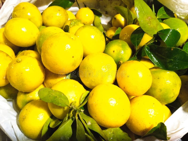 Fresh Lemon Close Up Detail, Lemon Fruit Stock Image - Image of close ...