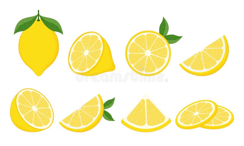 Fresh Lemon Fruit. Collection of Lemon Vector Icons Isolated on White ...