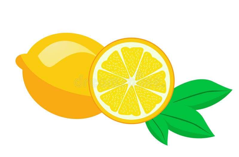 Fresh lemon fruits vector stock vector. Illustration of delicious ...