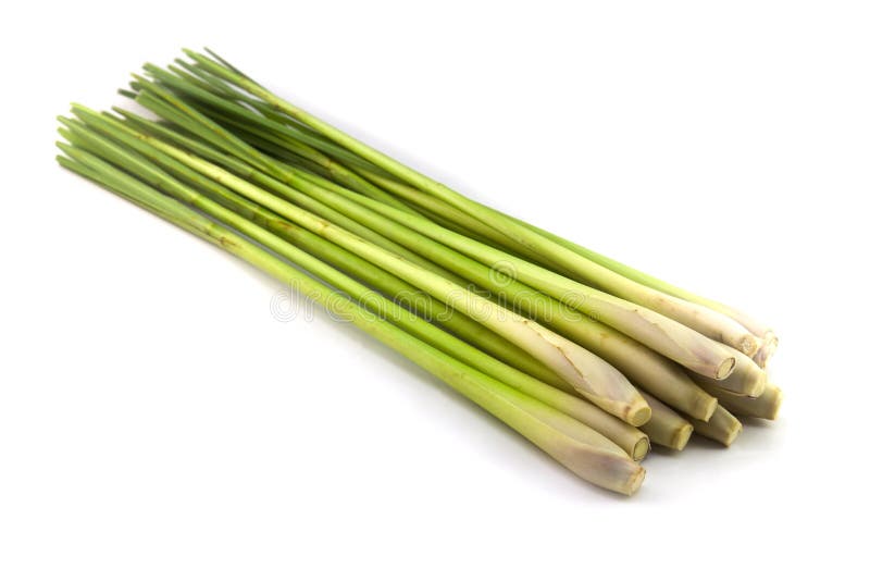 Lemongrass stock photo. Image of grass, herb, flavor, cooking - 6932342