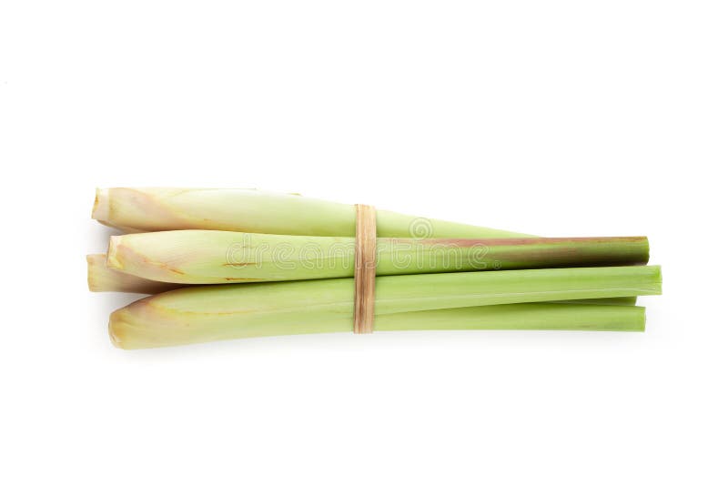 Fresh Lemon Grass on a White Background Stock Image - Image of ...