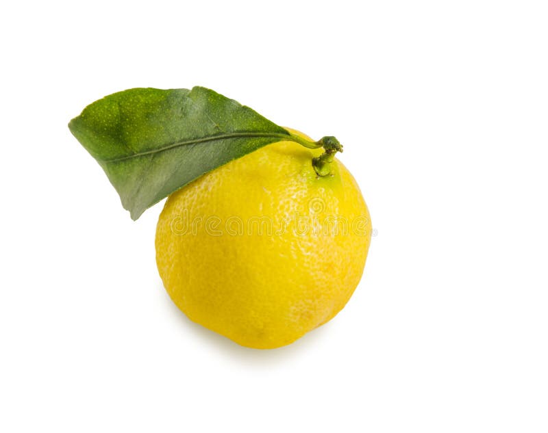 Fresh Lemon with Green Leaf on White. Stock Image - Image of ingredient ...