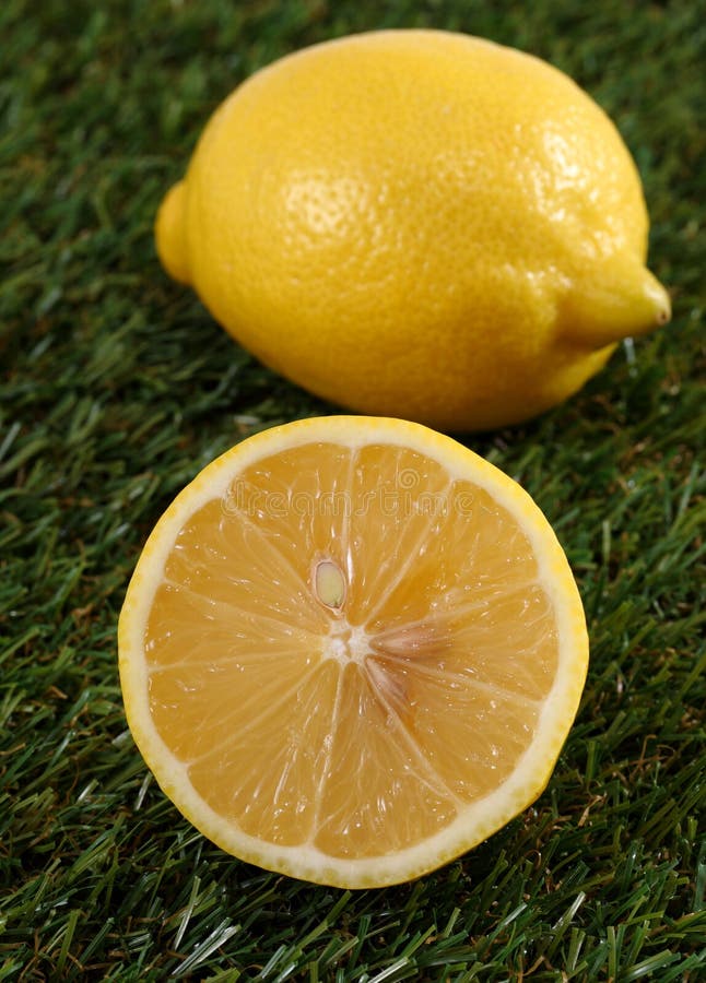 Fresh Lemon Laying on Green Grass Stock Photo - Image of eatable ...