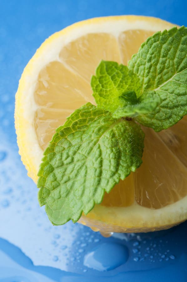Fresh lemon and mint stock image. Image of cook, lemon - 31001559