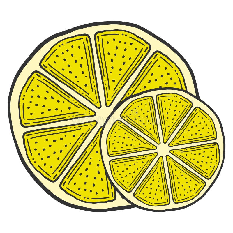 Fresh Lemon Slice, Half of Orange. Vector in Doodle and Sketch Style ...