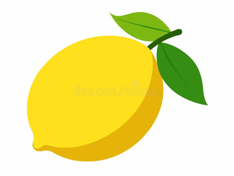 Fresh Lemon Vector Illustration on White Background Stock Illustration ...