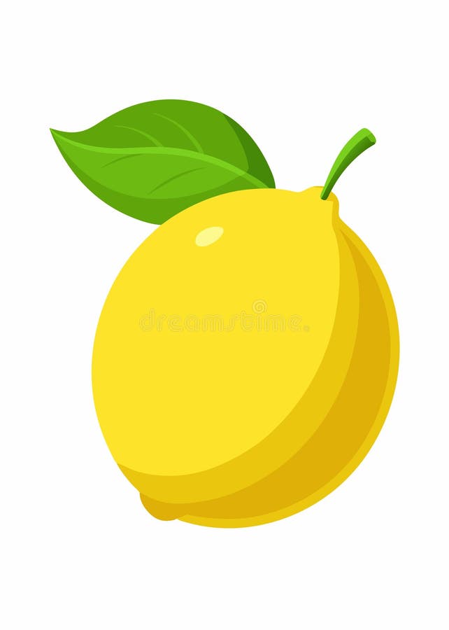 Fresh Lemon Vector Illustration on White Background Stock Vector ...