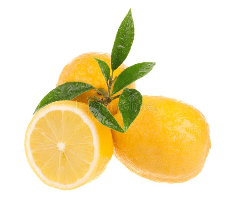 Fresh lemons stock photo. Image of oval, yellow, juice - 12970188