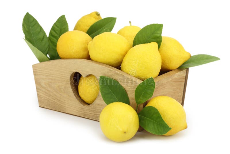 Lemons in the box stock image. Image of case, leaves - 23911597