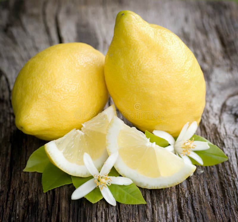 Fresh lemons stock photo. Image of fruit, citrus, flower - 26099912
