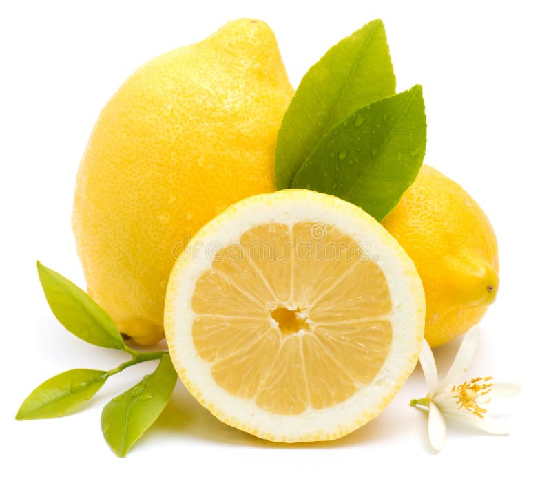 Fresh lemons stock photo. Image of fruit, citrus, flower - 26099912
