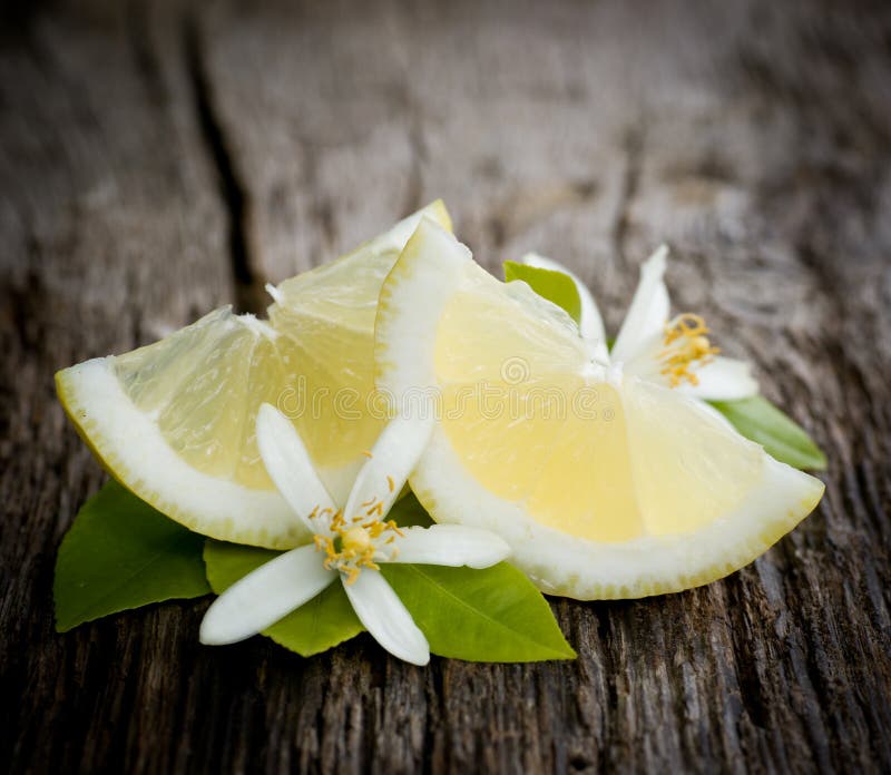 Lemon flower stock photo. Image of spring, perfume, fruit - 25313850