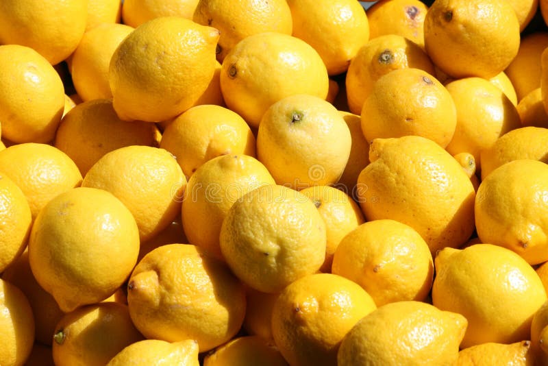 Fresh lemons outdoor stock image. Image of nutrition, yellow - 9898617
