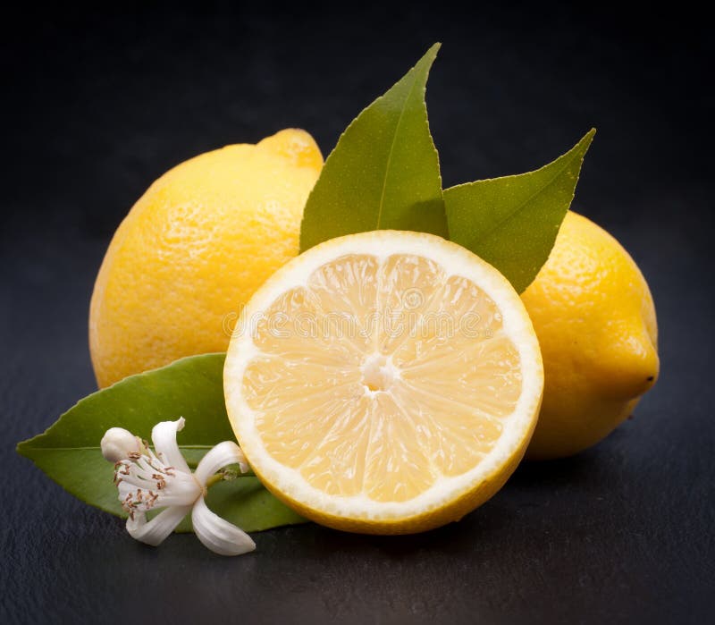 Fresh lemons stock photo. Image of fruit, citrus, flower - 26099912