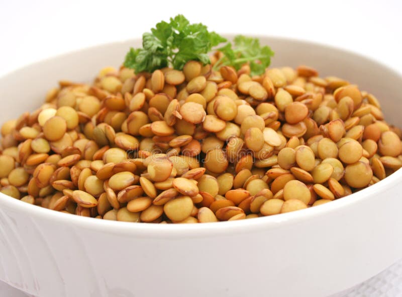 Fresh lentils stock photo. Image of lentils, dinner, lentil - 37190014