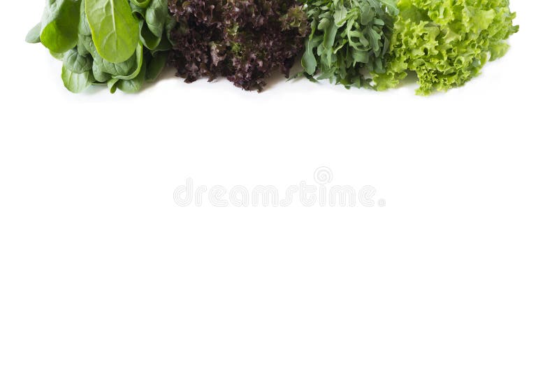 Fresh Lettuce at Border of Image with Copy Space for Text Stock Photo ...