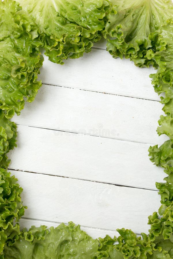Fresh Lettuce Leafs Creating a Frame Stock Image - Image of grocery ...