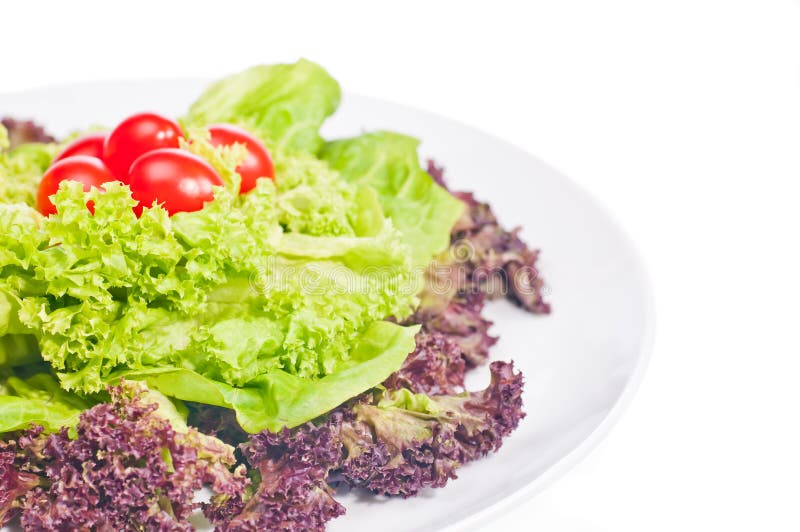 Fresh Lettuce and Tomato on Plate Stock Photo - Image of nutrition ...