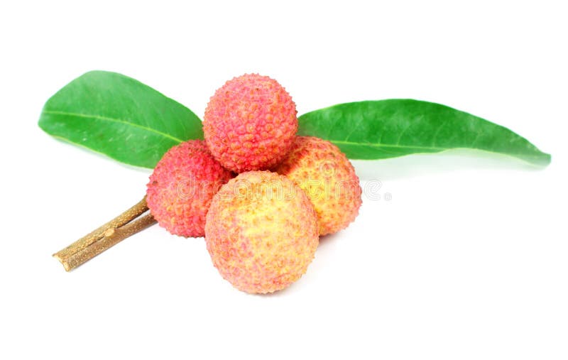 Fresh Lichi stock photo. Image of diet, china, agriculture - 31184982