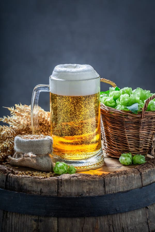 Fresh Light Beer with Foam, Hops and Wheat Stock Image - Image of dark ...