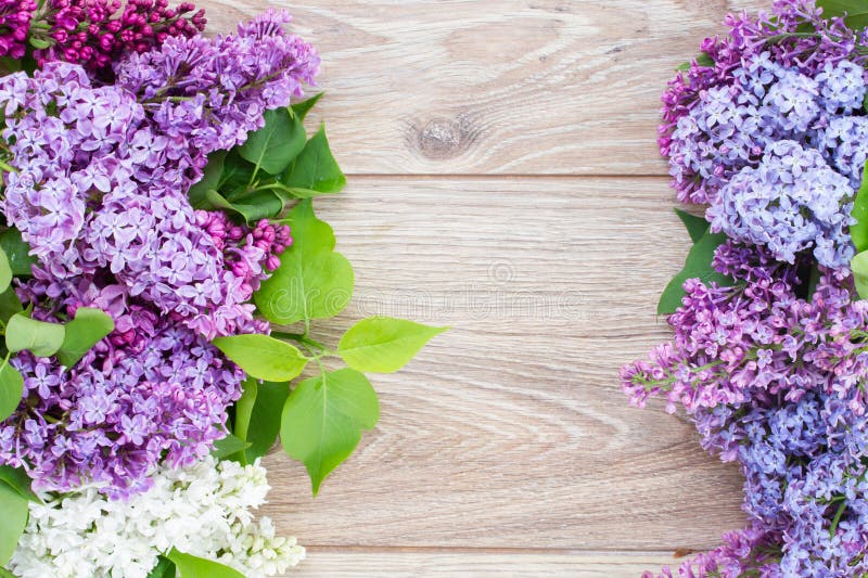 Fresh lilac flowers frame stock image. Image of bush - 40658773