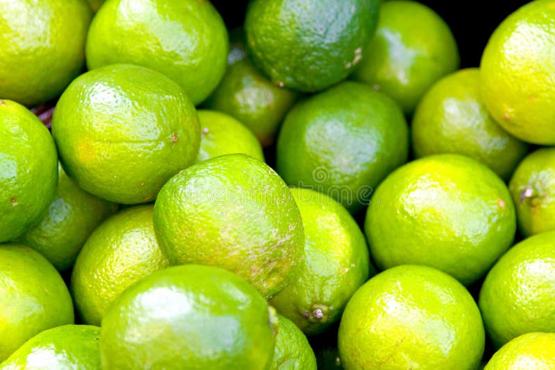 Fresh lime stock photo. Image of limes, lemon, green - 13469538