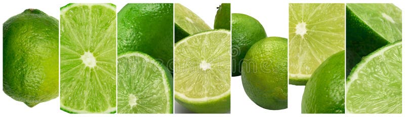 Fresh Lime Collage, Various Green Lemons Collection Stock Photo - Image ...