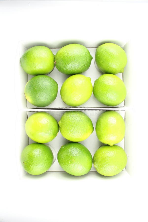 Fresh lime fruits in boxes stock photo. Image of seasoning - 128421430