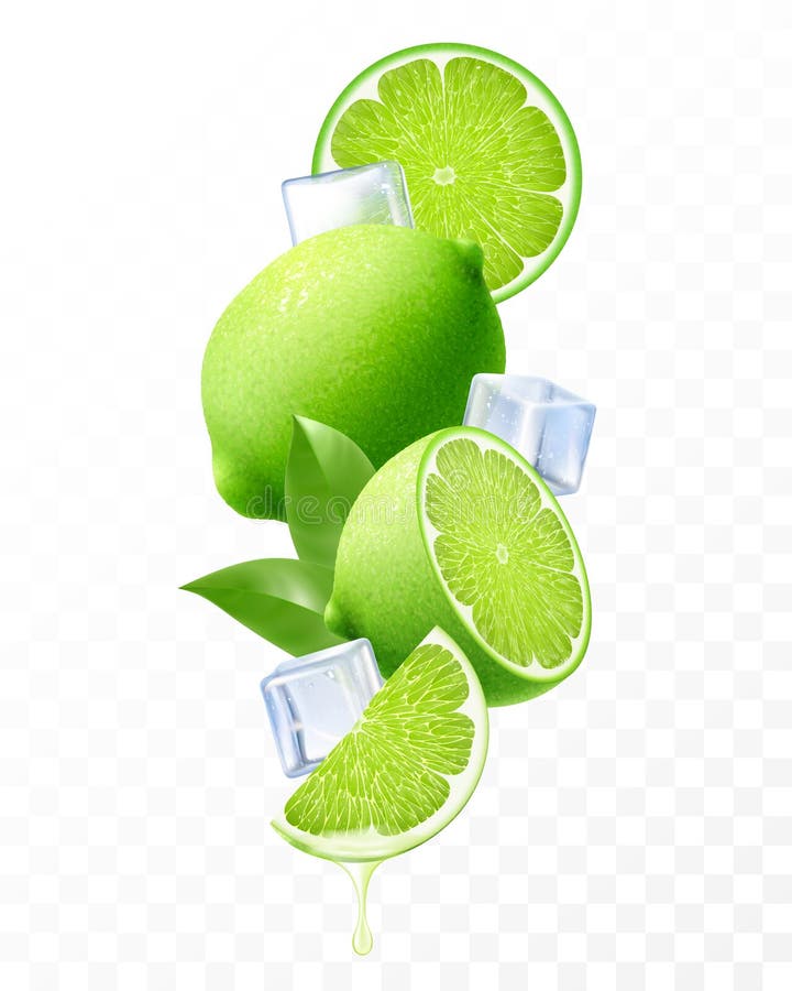 Fresh Lime with Ice Cubes Falling or Flying. Composition of Elements ...
