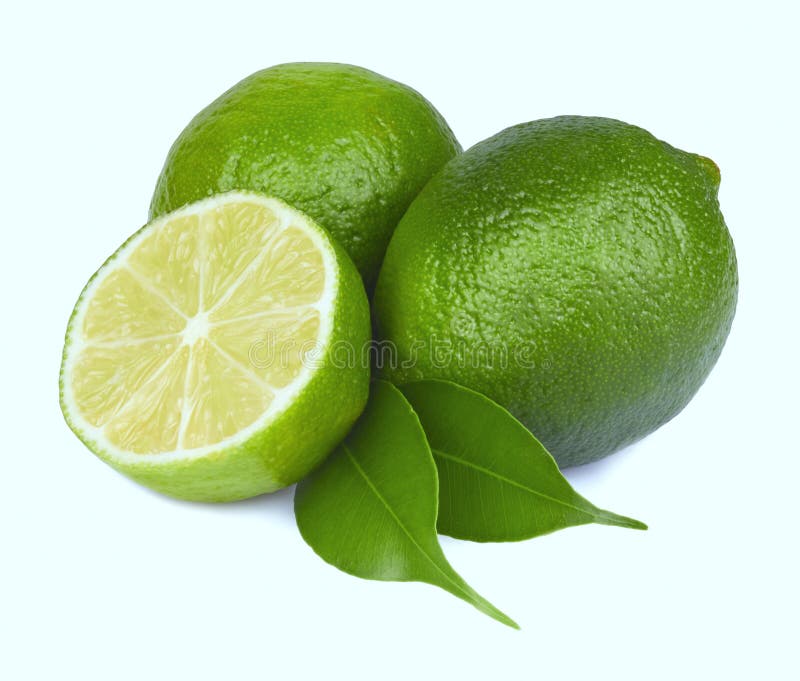 Fresh lime isolated stock image. Image of green, group - 83423889