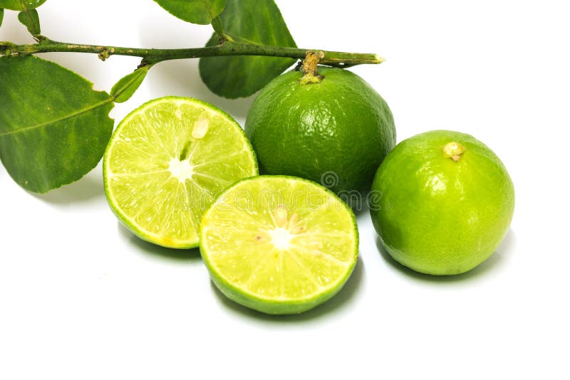 Fresh lime isolated stock photo. Image of lime, closeup - 73214870